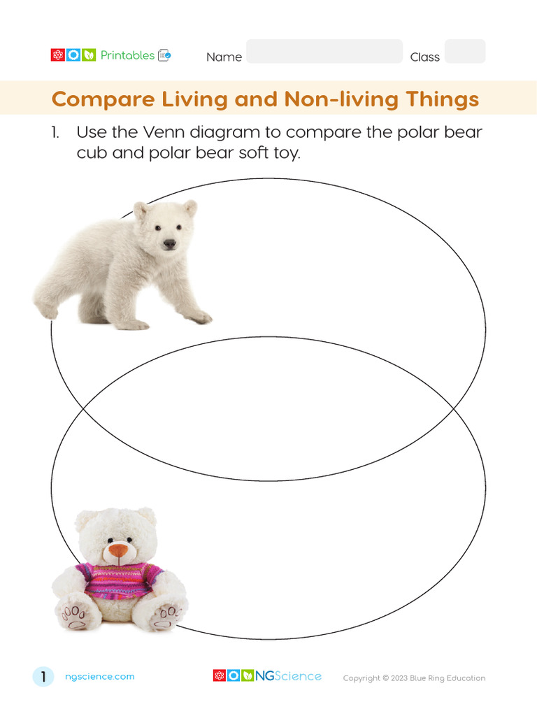 1 NGScience Living and Non Living Things - 08 | PDF