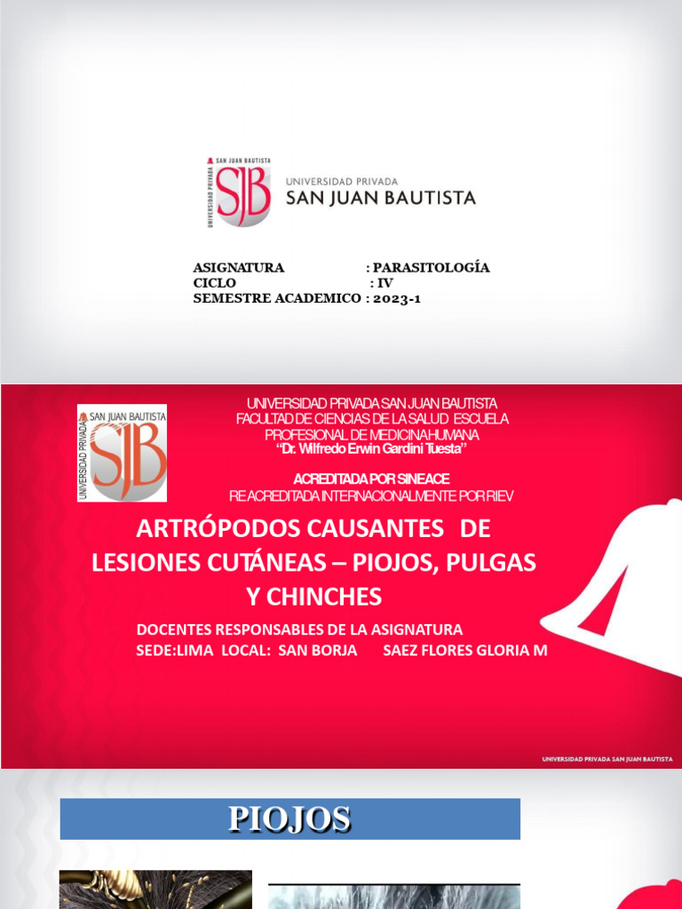 Clase 14. Lesiones Cutáneas - Piojos, Pulgas y Chinches 2023-I. | PDF | Especialidades Medicas ...