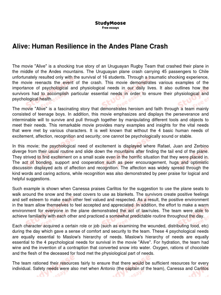 Alive Human Resilience in The Andes Plane Crash | PDF | Self Esteem ...