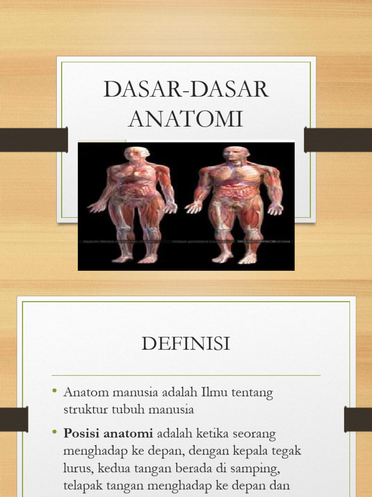 Dasar Dasar Anatomi | PDF