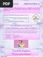 Formula Obstetrica | PDF | El embarazo | Aborto
