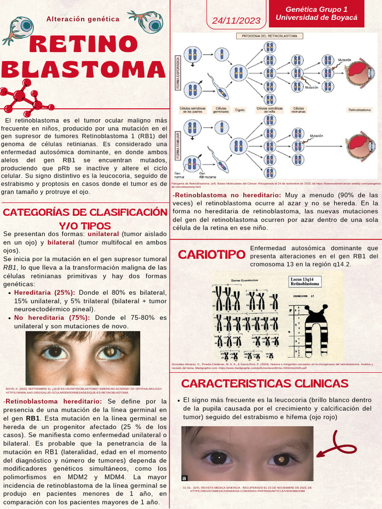 Retinoblastoma PDF | PDF | Gen supresor de tumores | Enfermedades y trastornos