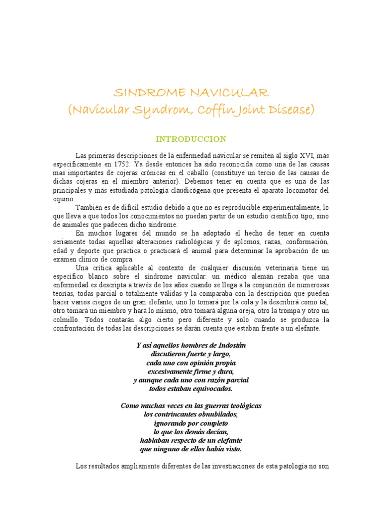 Sindrome Navicular Pdf Hueso Cartílago