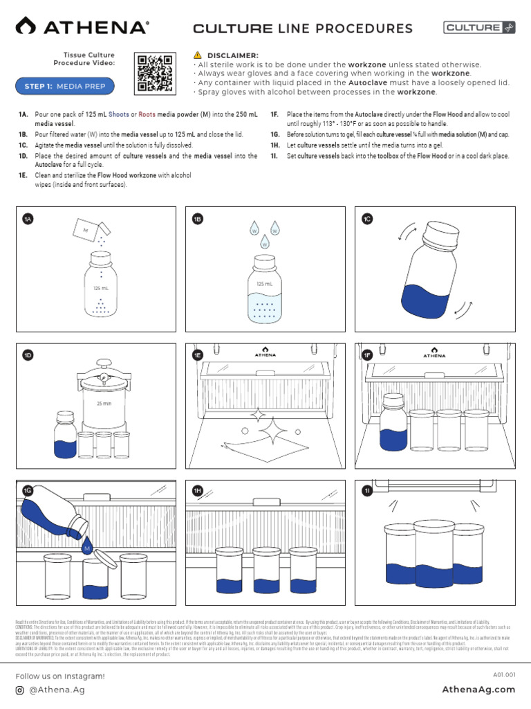 Tissue Culture Kit Procedure | PDF | Plant Stem | Chemistry