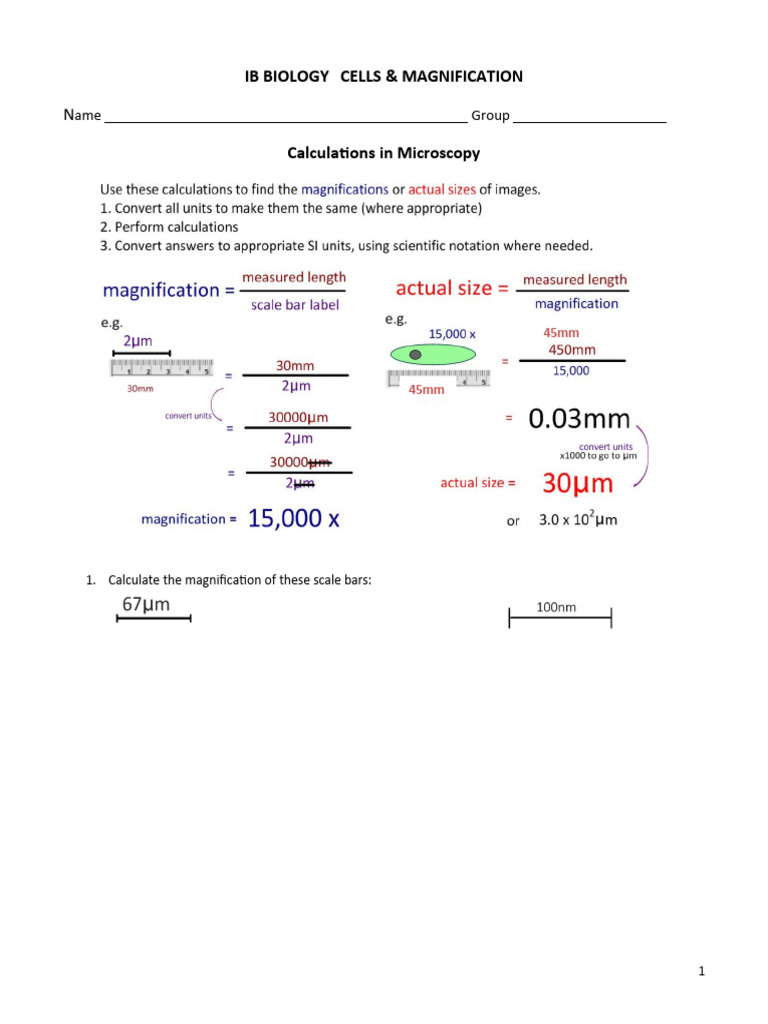 Magnification | PDF | Science & Mathematics | Computers
