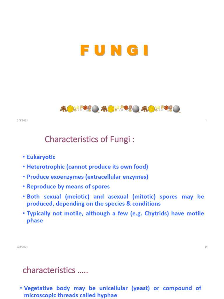 4 Fungi | PDF | Fungus | Biology