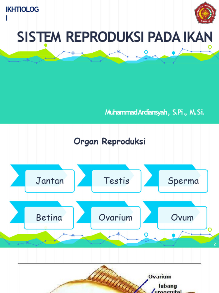 Sistem Reproduksi Ikan dan Pemijahan | PDF | Griya & Taman