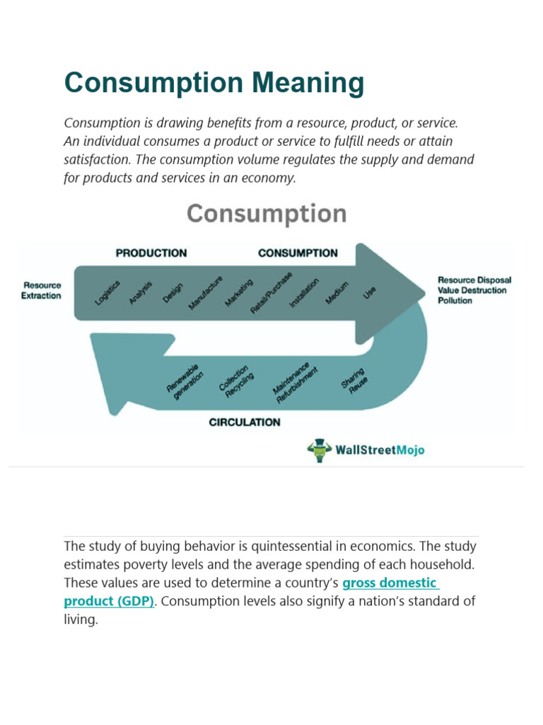 Consumption | Download Free PDF | Consumption (Economics) | Taxes