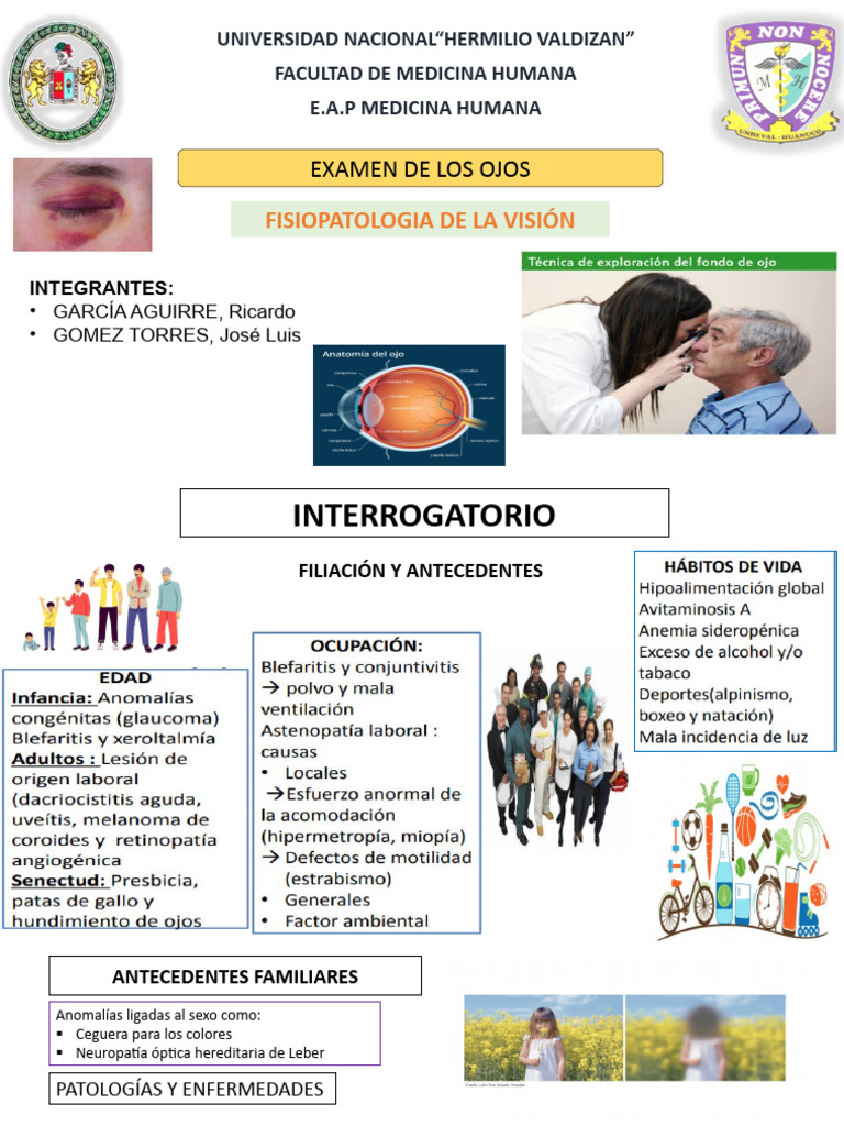 7.examen de Los Ojos Fisiopatología de La Visión | PDF | Ojo humano ...