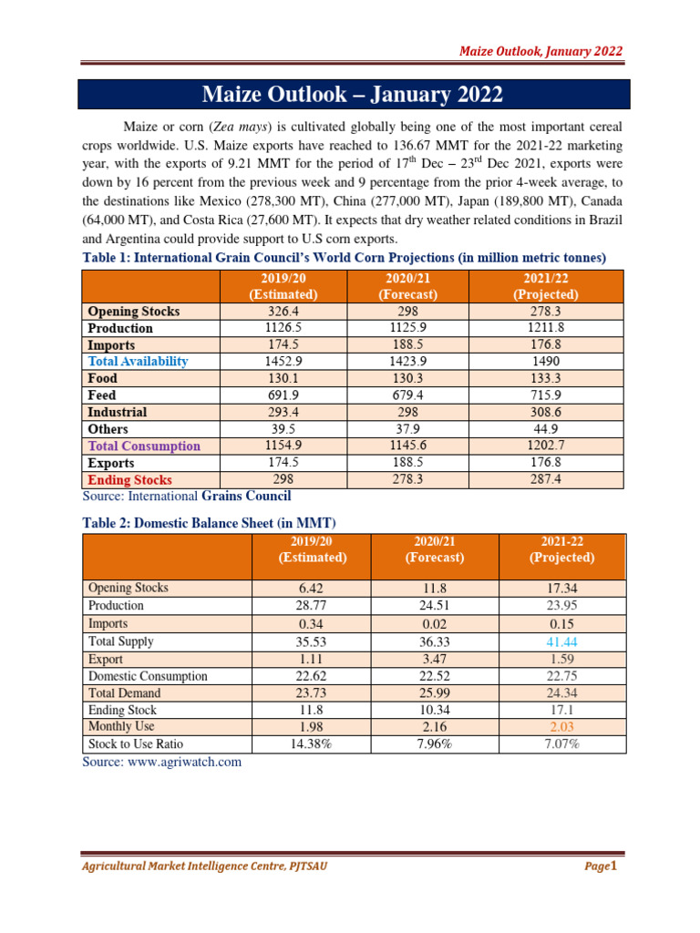 Maize January 2022 | PDF | Cereals | Maize