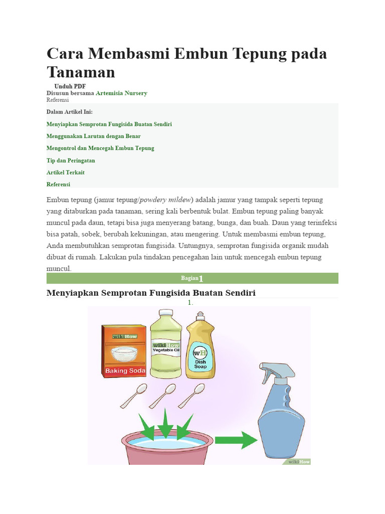 Cara Efektif Atasi Embun Tepung Tanaman | PDF | Memasak, Makanan ...