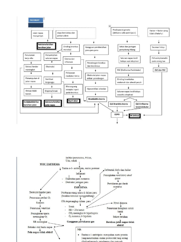 Pathway Emfisema | PDF