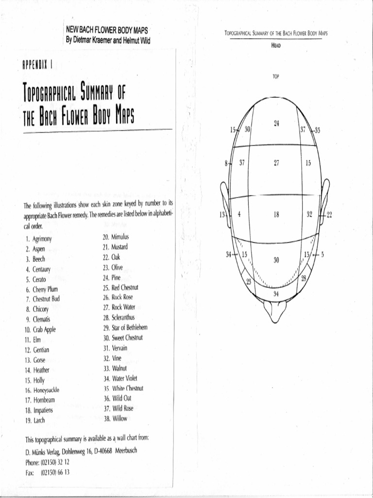 Body Map For Flower Essence | PDF