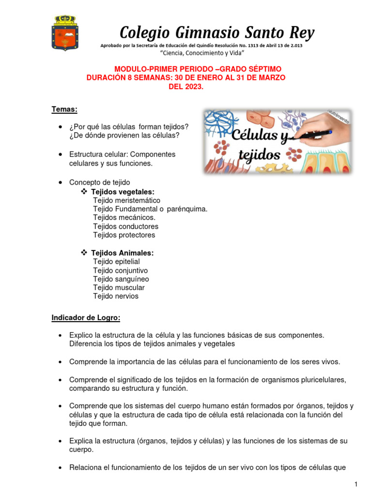 Estructura y Función de Células y Tejidos | PDF | Tejido (biología ...
