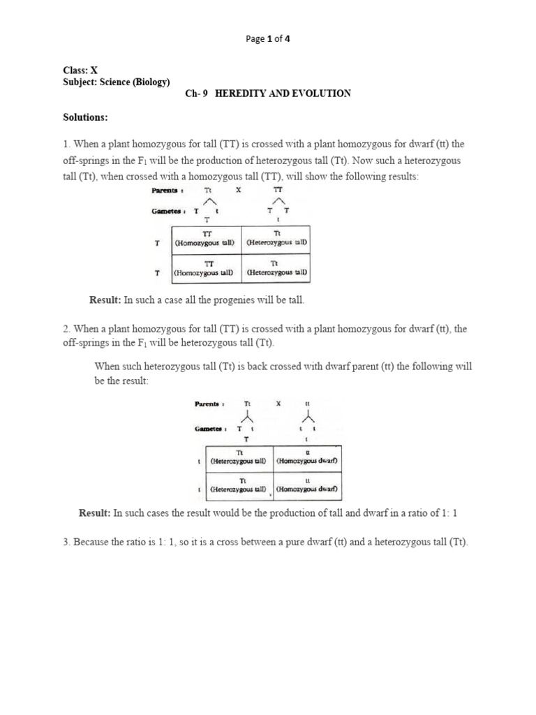 Heredity C.W Solutions | PDF | Evolutionary Biology | Biological Evolution