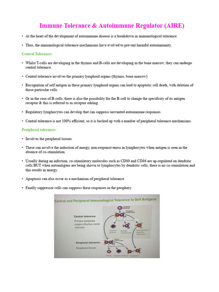 Immune Tolerance & Autoimmune Regulator (AIRE) | PDF | Immune Tolerance ...