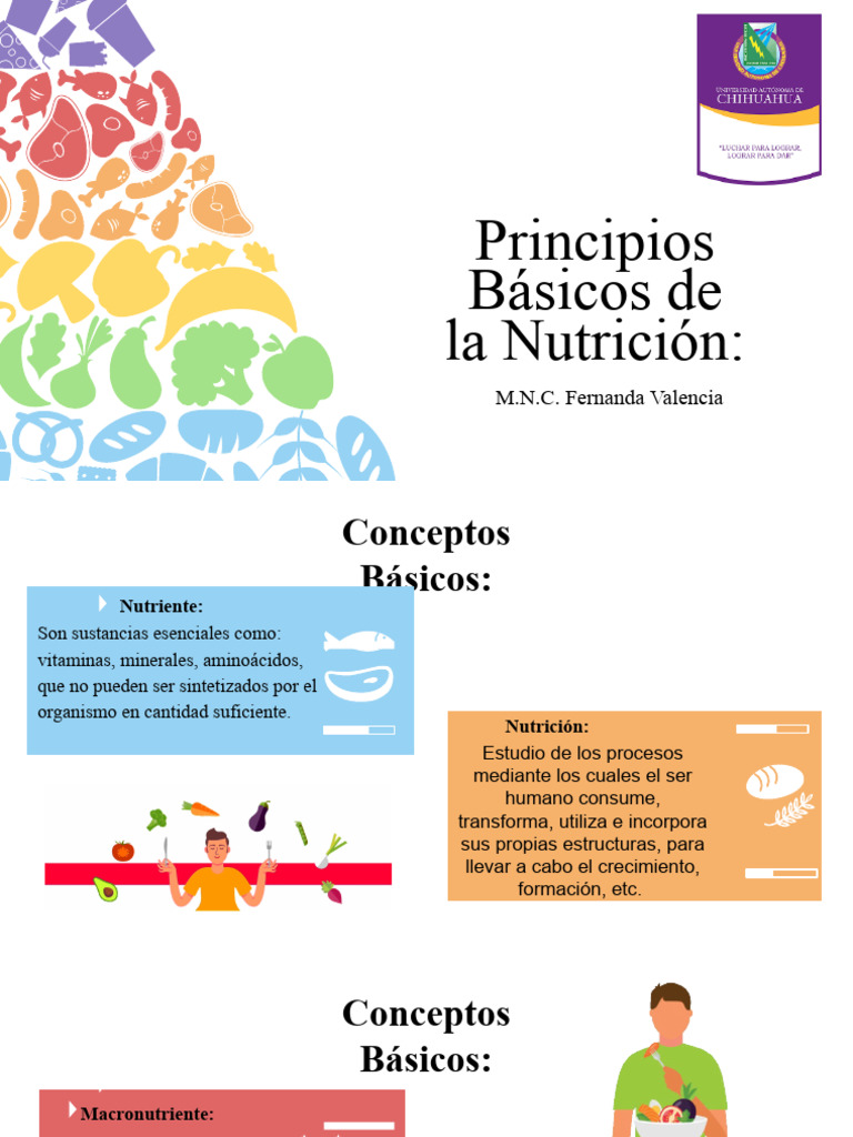 Fundamentos de Nutrición Básica | PDF | Alimentos | Nutrientes