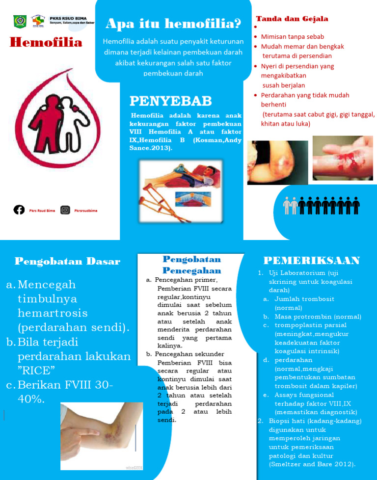 Leaflet Hemofilia | PDF