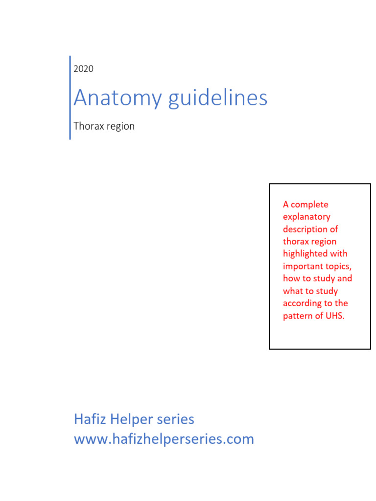 Anatomy Thorax 1 Pdf Vertebra Lung