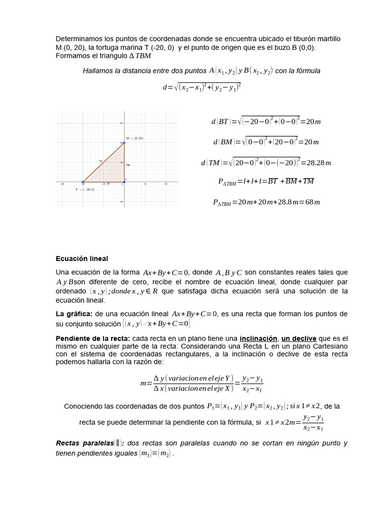 Ejercicio | PDF | Pendiente | Línea (geometría)