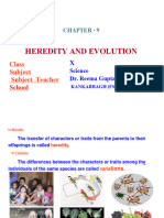 Class 10 Heredity | PDF | Dominance (Genetics) | Genetics