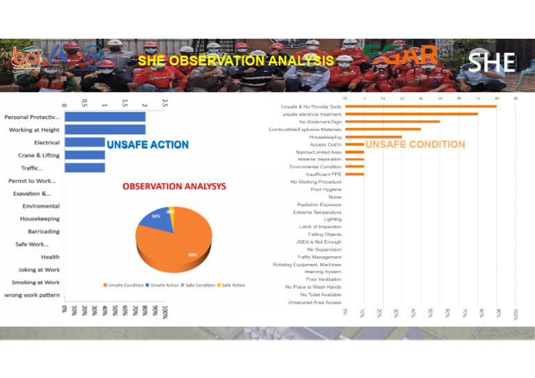 SHE Observation Analysis Report | PDF