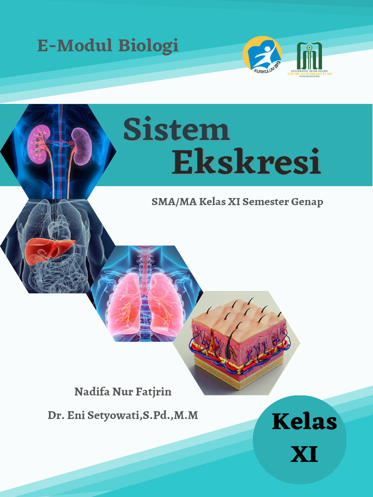 E-Modul Biologi Sistem Ekskresi-Nadifa Nur Fatjrin | PDF