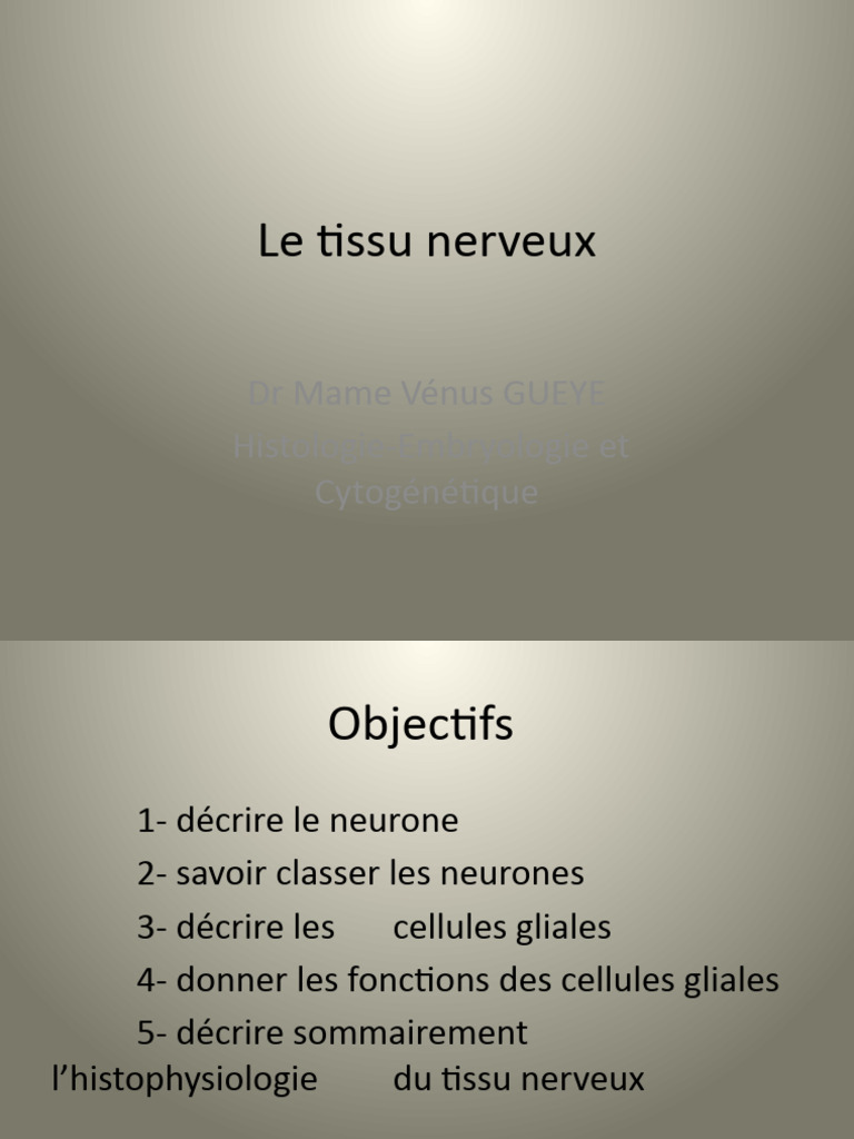 Le Tissu Nerveux 2022 | PDF | Système nerveux | Synapse