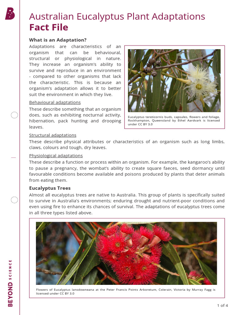 Au SC 1671439210 Australian Plant Adaptations - Ver - 1 | PDF ...