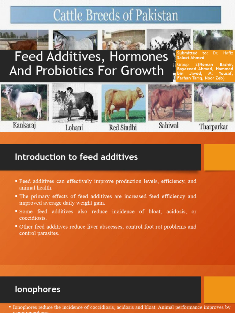 Feed Additives, Hormones and Probiotics For Growth | PDF | Probiotic ...
