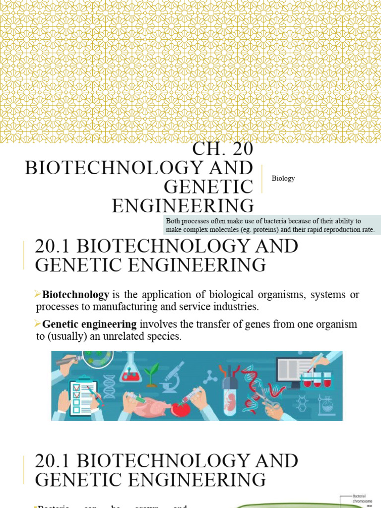 BIO-Chapter 20. Biotech | PDF | Genetically Modified Crops | Genetic ...