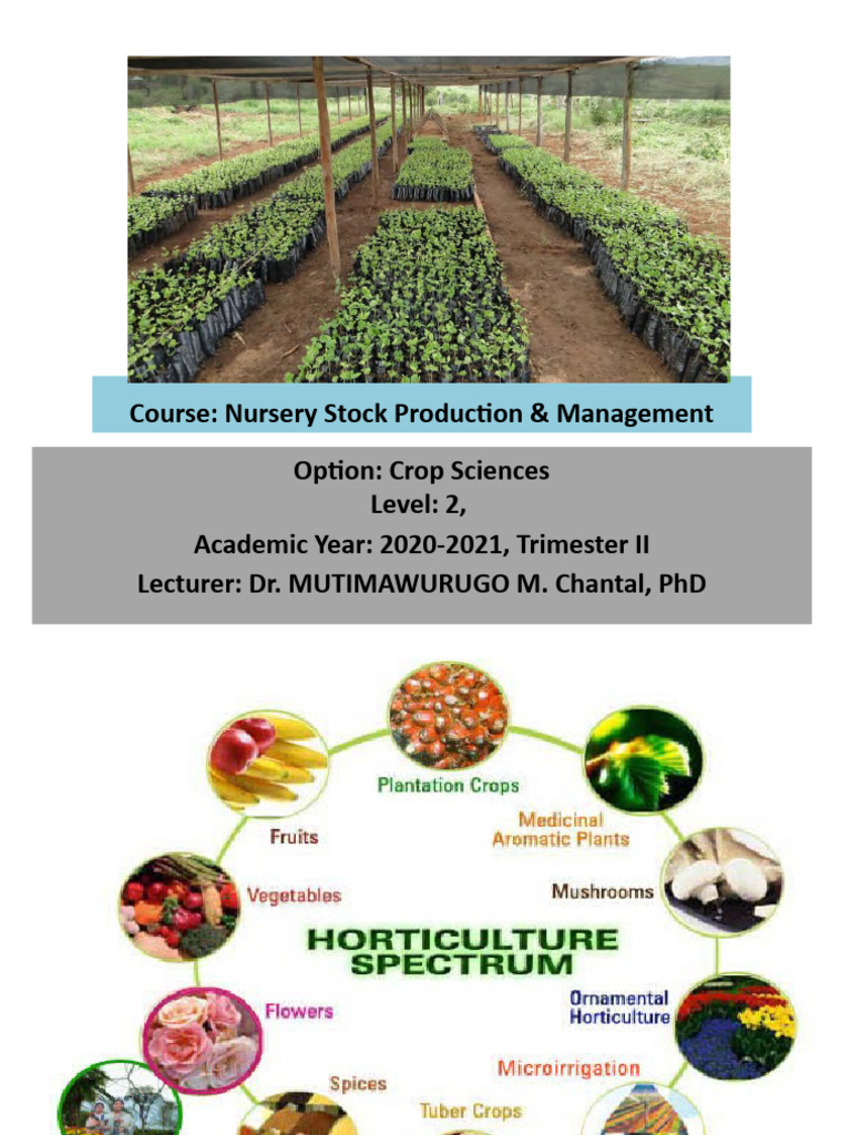 Nursery Stock Production Management Guide | PDF | Plant Nursery | Grafting
