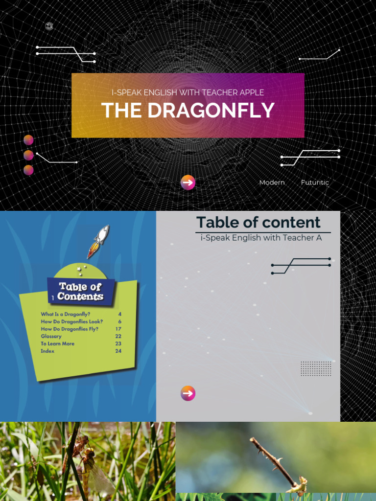 PDF Dragonfly | PDF | Communication | Computing
