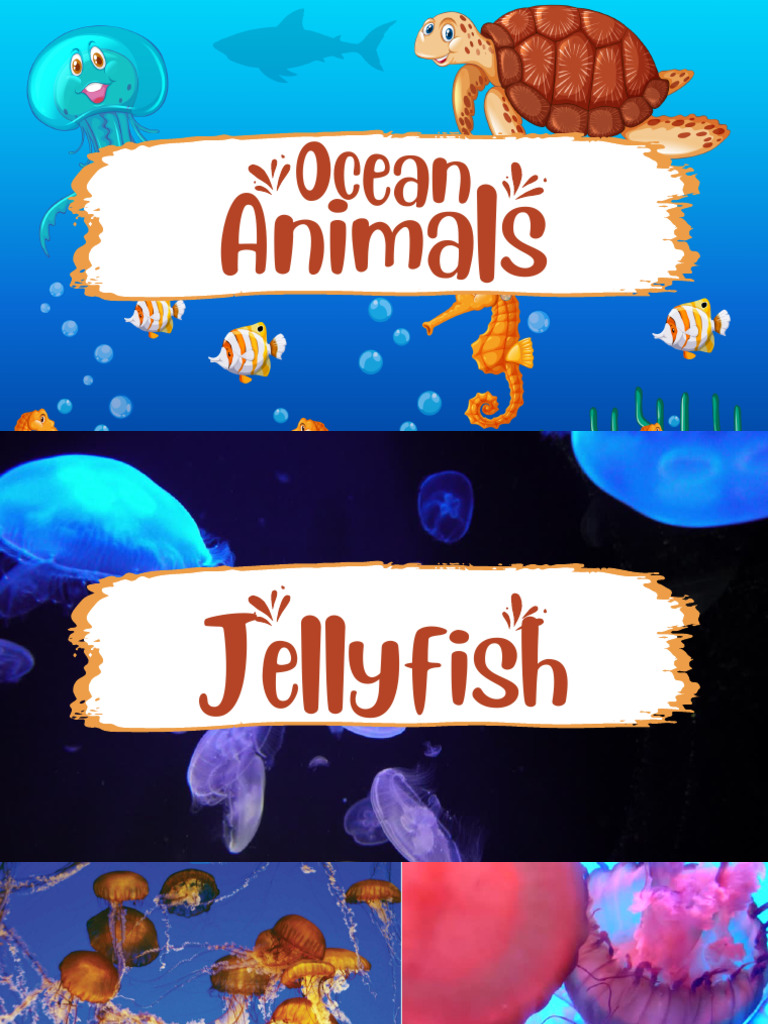 PDF Jellyfish | PDF