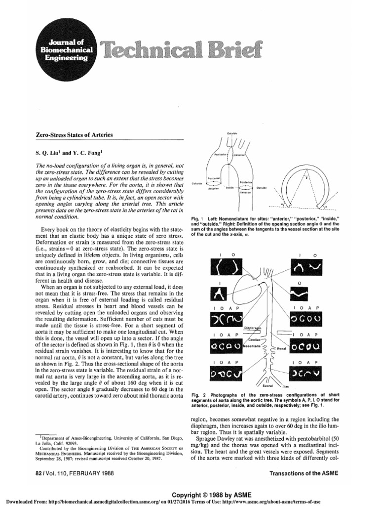 Zero Stress State Fung | PDF | Aorta | Stress (Mechanics)