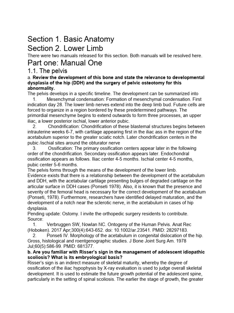 Anatomy Summary Basic | PDF | Ankle | Pelvis