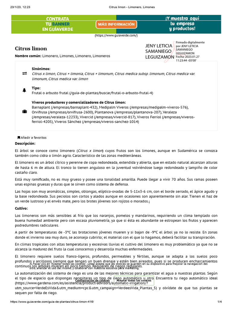 Cultivo y características del limonero | PDF | Limón | Agrios