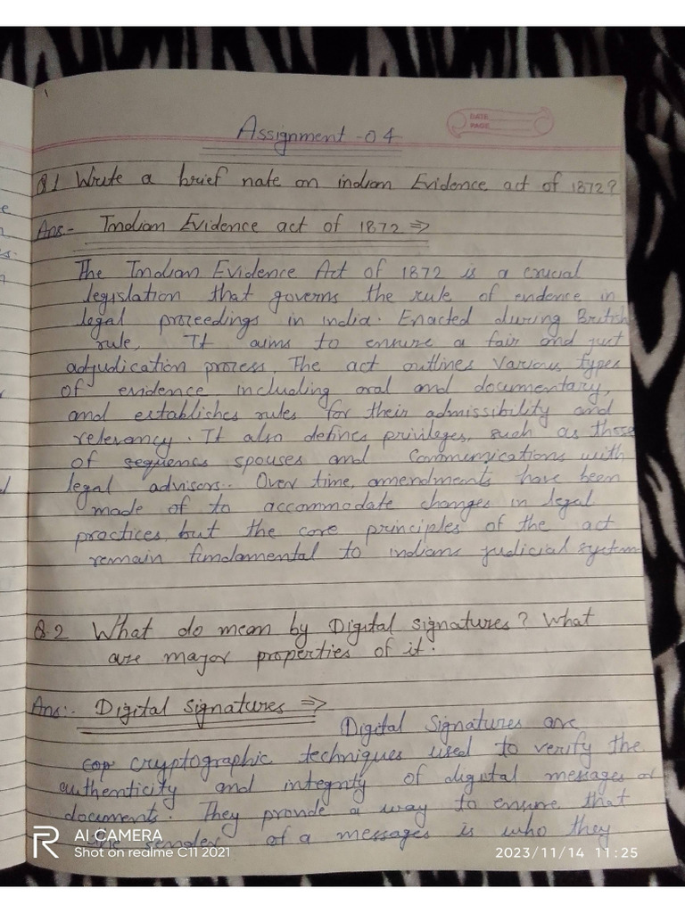 Cyber Security Assignment | PDF