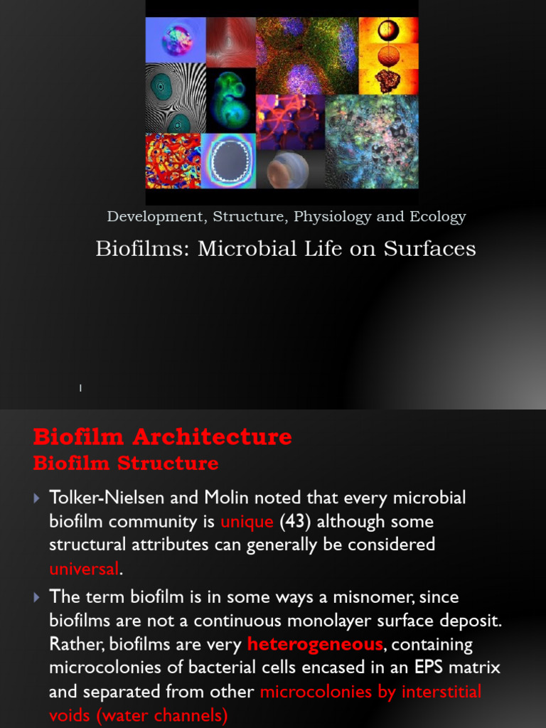 Structure, Physiology and Ecology of Biofilms | PDF | Biofilm | Bacteria