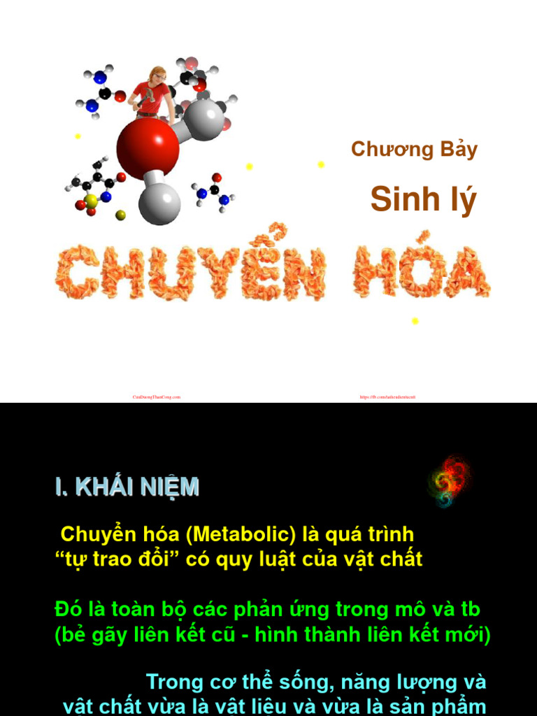 Sinh-Li-Dinh-Duong - Vu-Bich-Ngoc - 21.sl-Chuyen-Hoa-Vs-201 - (Cuuduongthancong - Com) | PDF