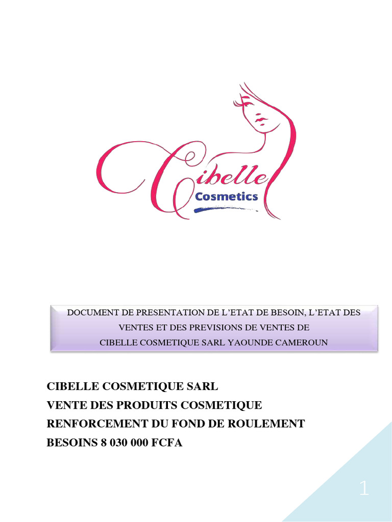 Besoin de financement pour Cibelle Cosmetics | PDF | Valeur ajoutée ...