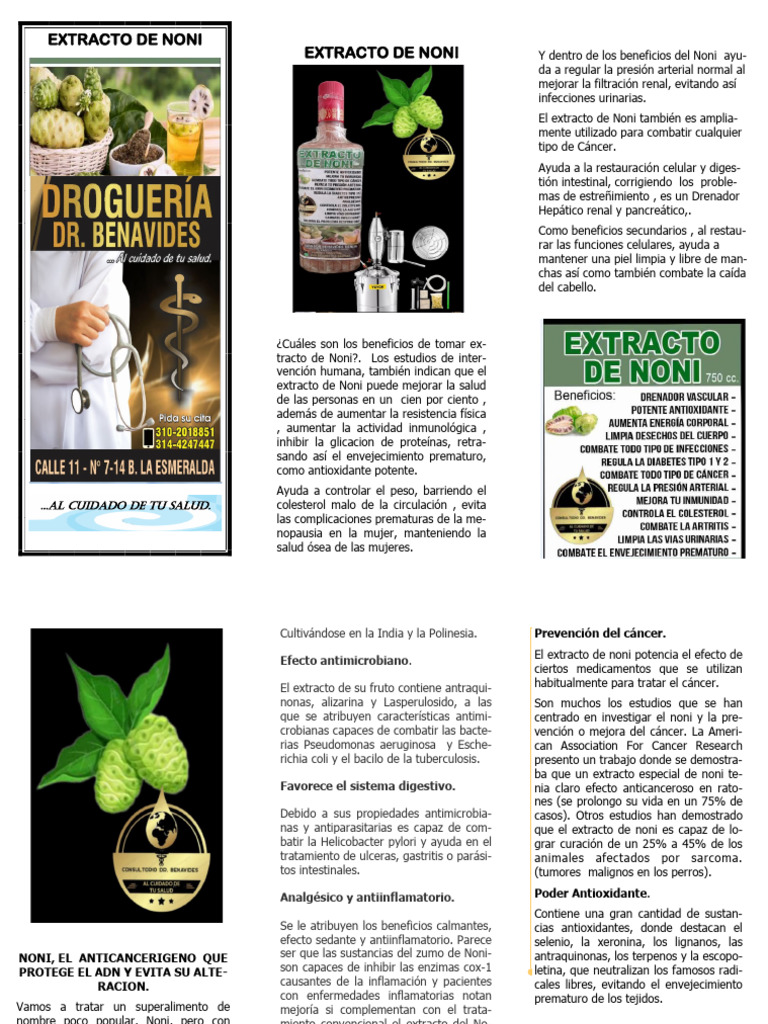 Folleto Extracto de Noni | PDF | Cáncer | Medicina