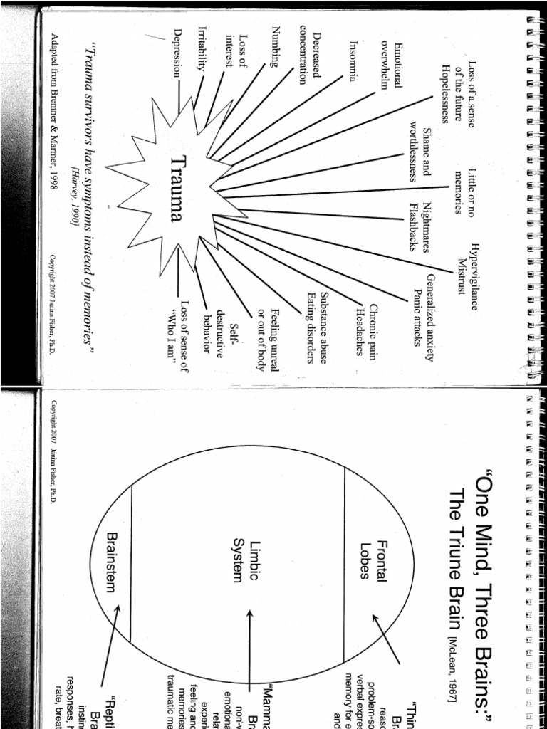 Janina Fisher Trauma Chart | PDF