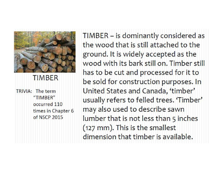 Timber 1 | PDF