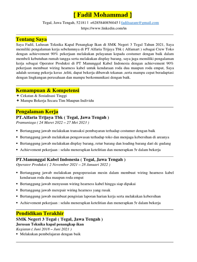 CV & Lamaran Pekerjaan Fadil Mohammad 2023 | PDF