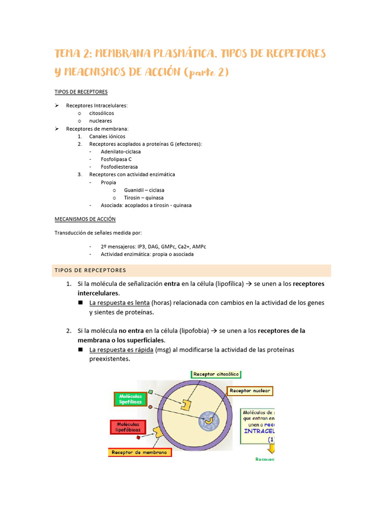 Tema 2 (Parte 2) | PDF | Receptor (Bioquímica) | Transducción de señales