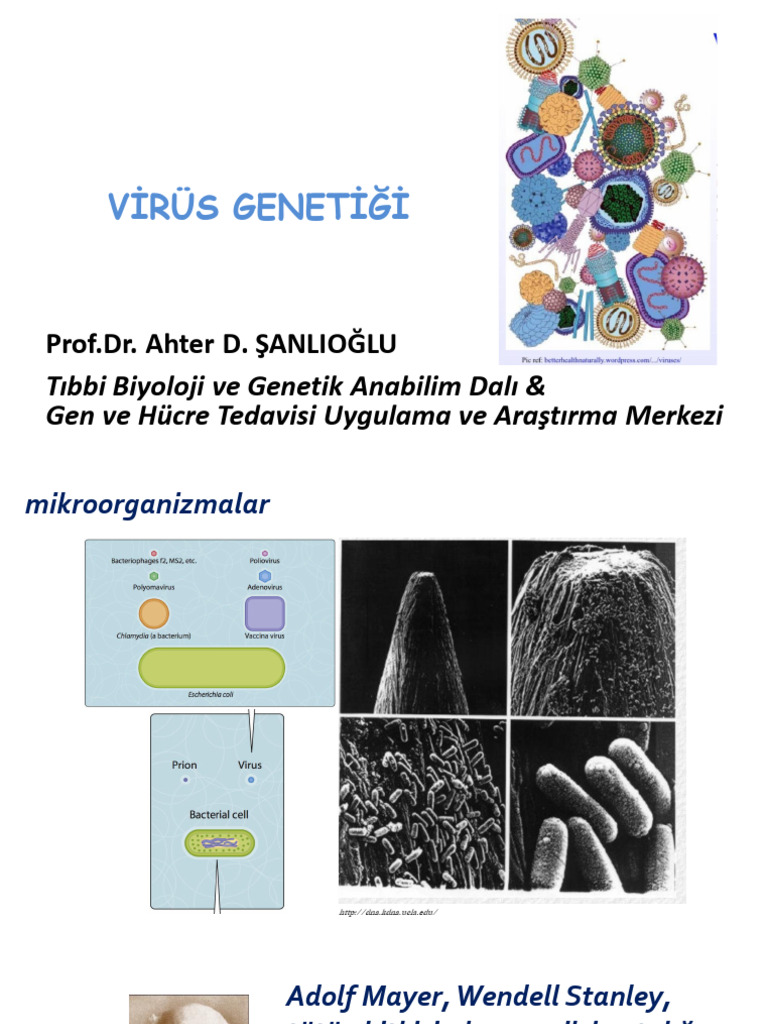 Viral Genetics 2023 2024 | PDF