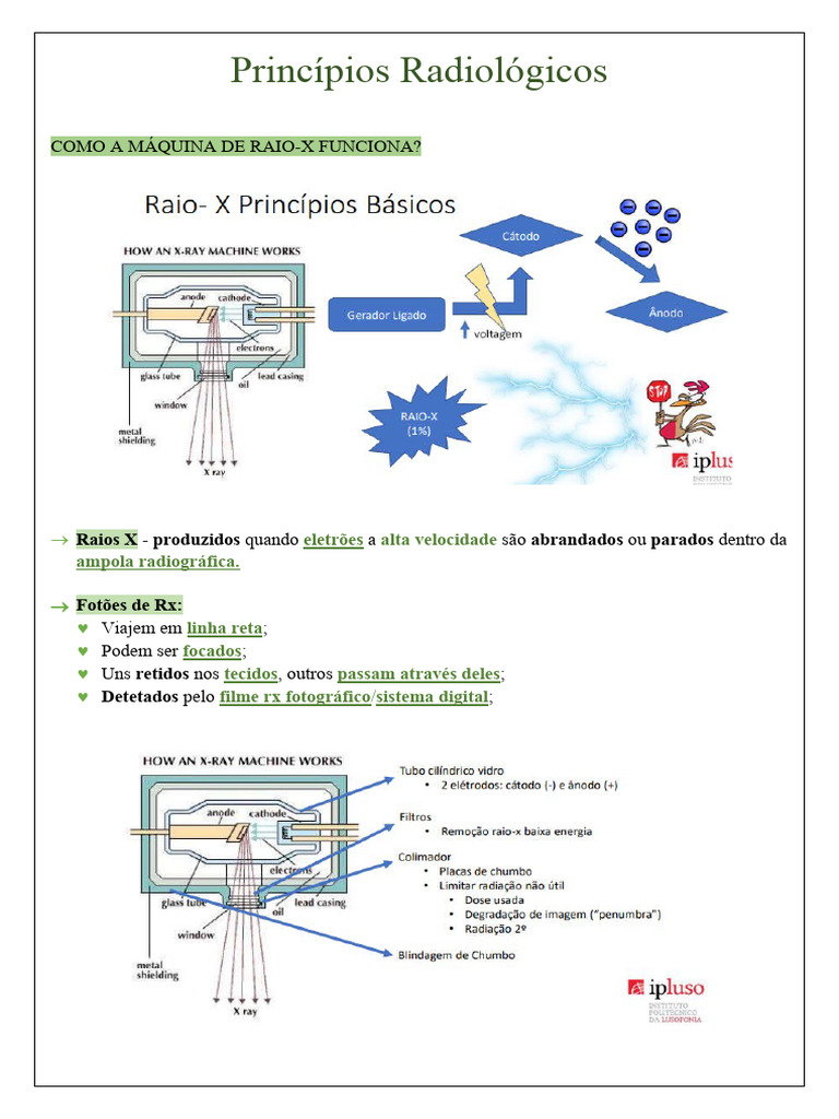 Principios Radiológicos | Download grátis PDF | Raio X | Radiologia