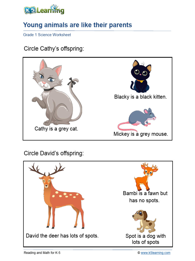Grade 1 Animal Traits A | PDF