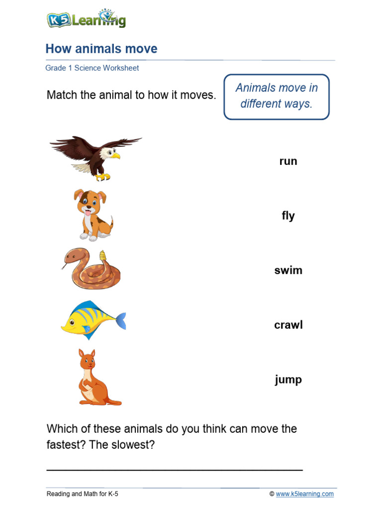 Grade 1 Animals Move A | PDF | Self-Improvement